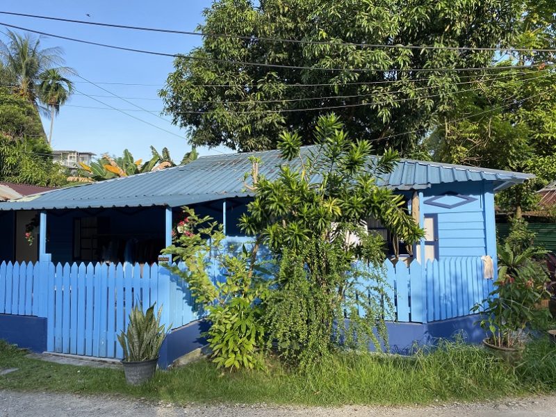 The last surviving kampong ～ シンガポールに残る最後の村 | Singapore Style
